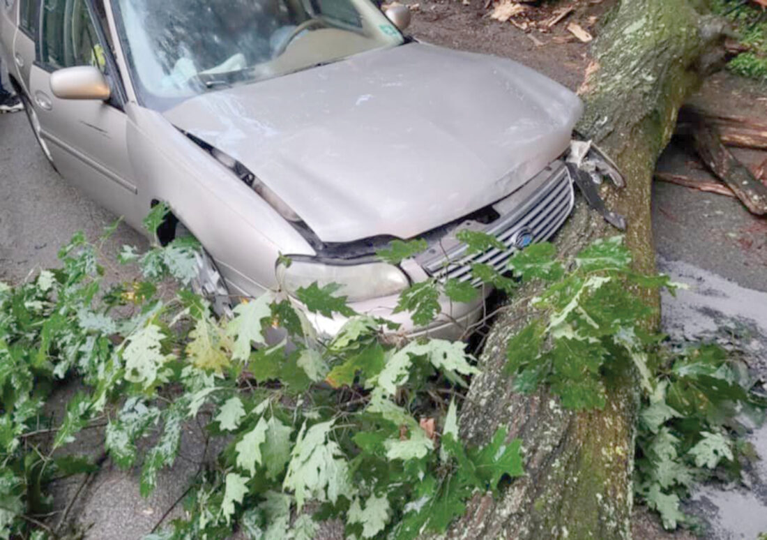 Driver cited for multiple violations | News, Sports, Jobs - The ...